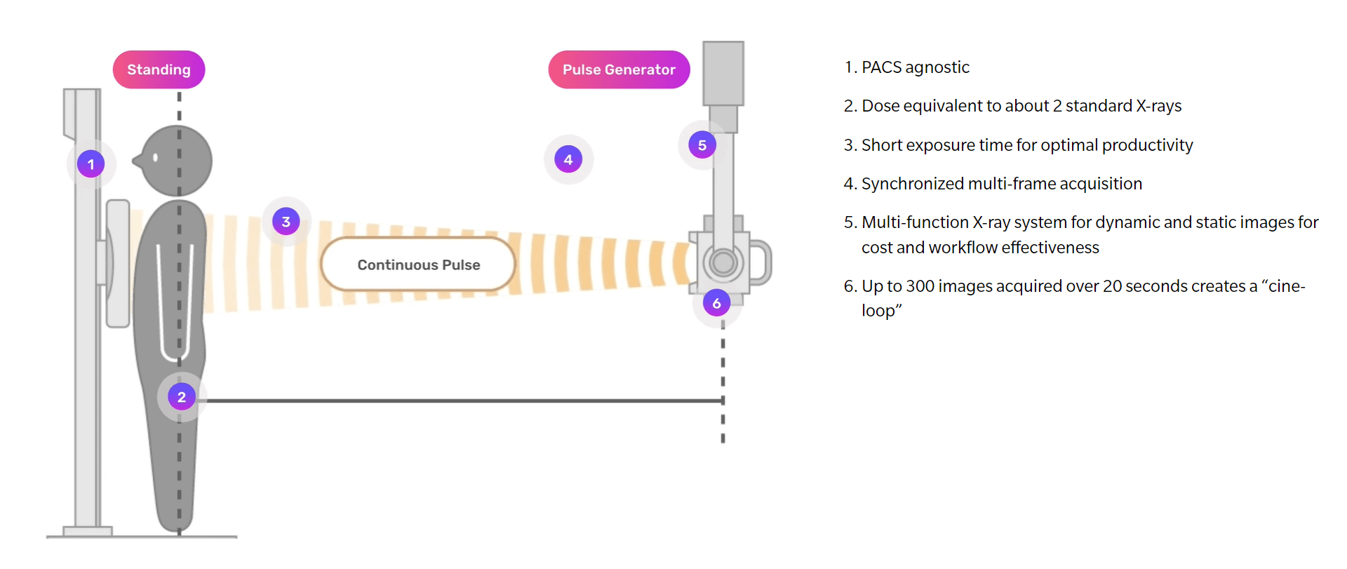 L'IA Et La DDR Vers L'avenir De La Radiologie Osseuse - TAG